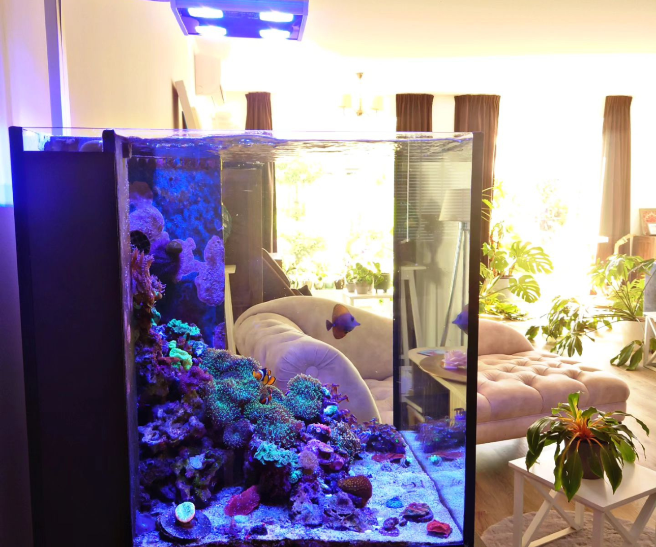 23 Fish Tank Ideas Living Room: Modern, Unique, and Aesthetic Designs ...