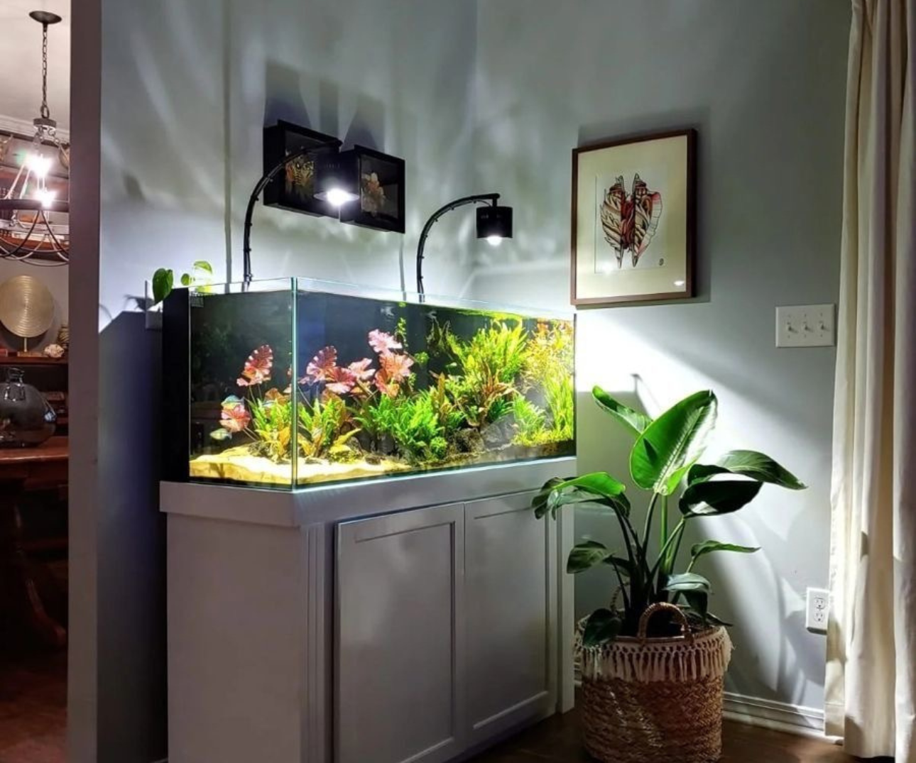 23 Fish Tank Ideas Living Room: Modern, Unique, and Aesthetic Designs ...