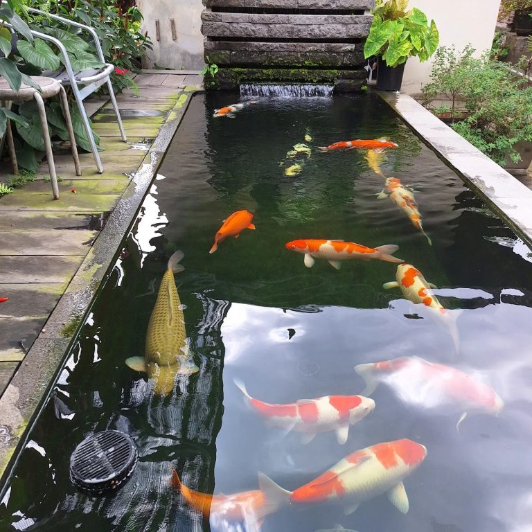 28 Koi Pond Ideas to Transform Your Backyard into a Serene Oasis - placeideal.com
