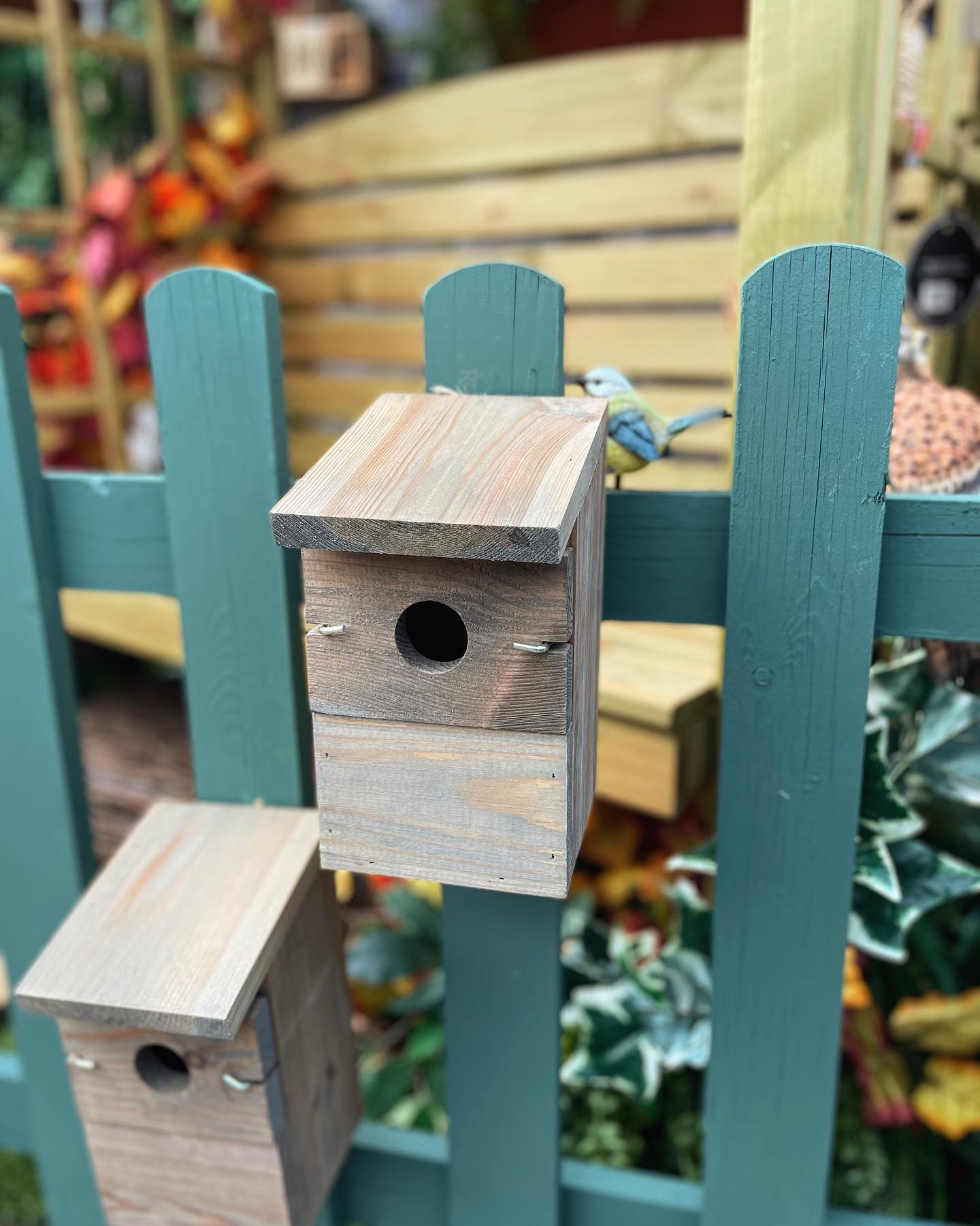 25 Garden Bird Feeders Ideas to Beautify Your Outdoor Space and Attract ...