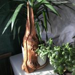 21 Stunning Driftwood in Home Decor Ideas to Transform Your Space ...