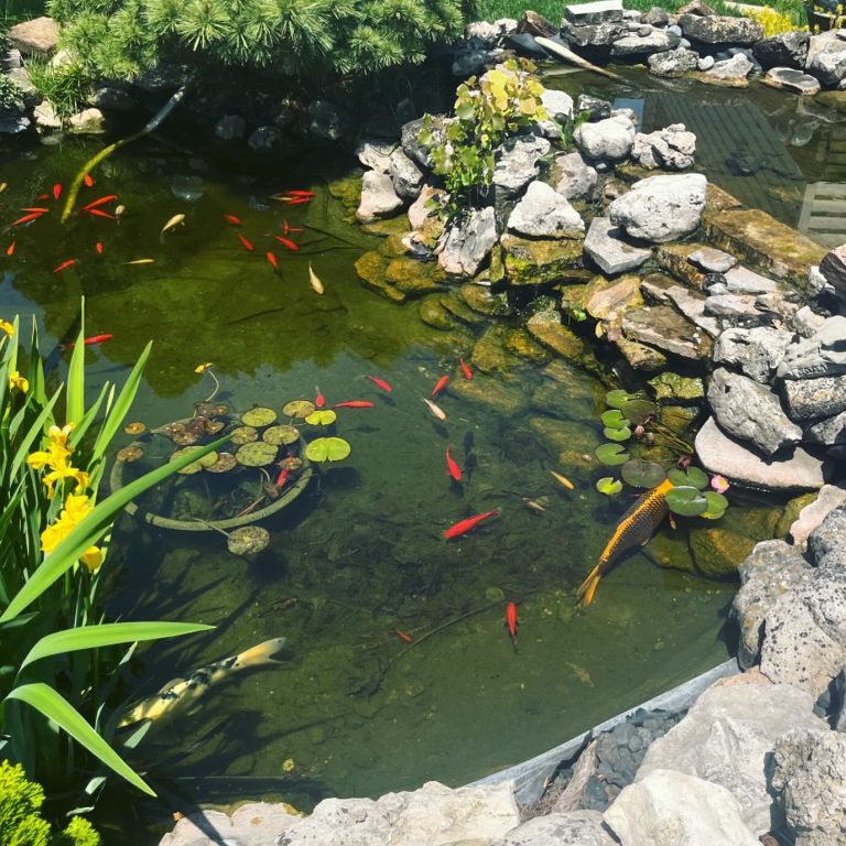 28 Koi Pond Ideas to Transform Your Backyard into a Serene Oasis ...