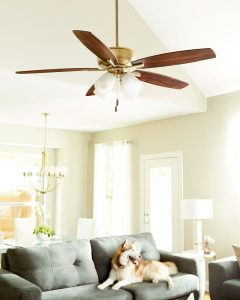 33 Ceiling Fan Ideas: Transform Your Home with Style and Comfort ...