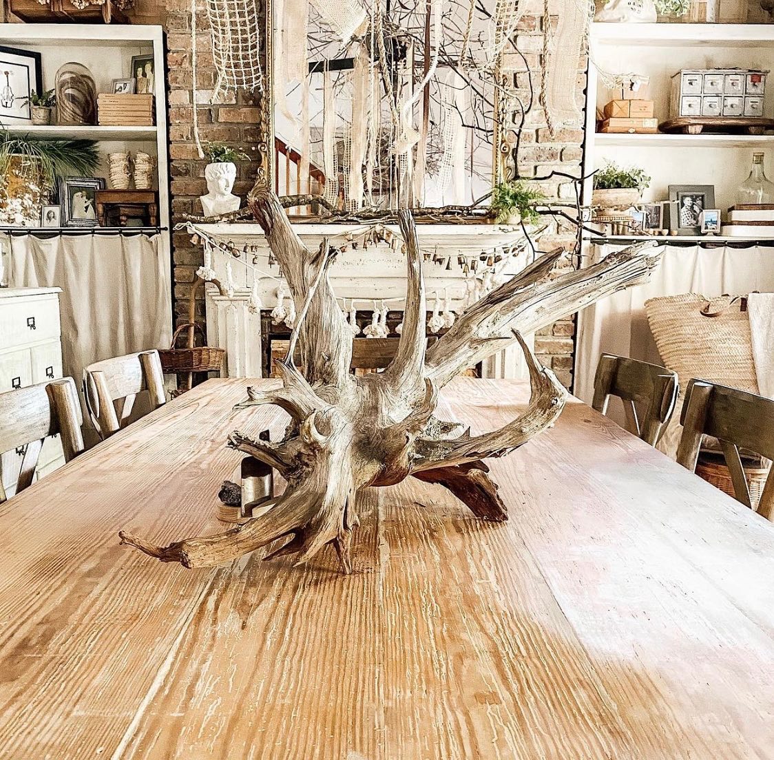 21 Stunning Driftwood in Home Decor Ideas to Transform Your Space ...