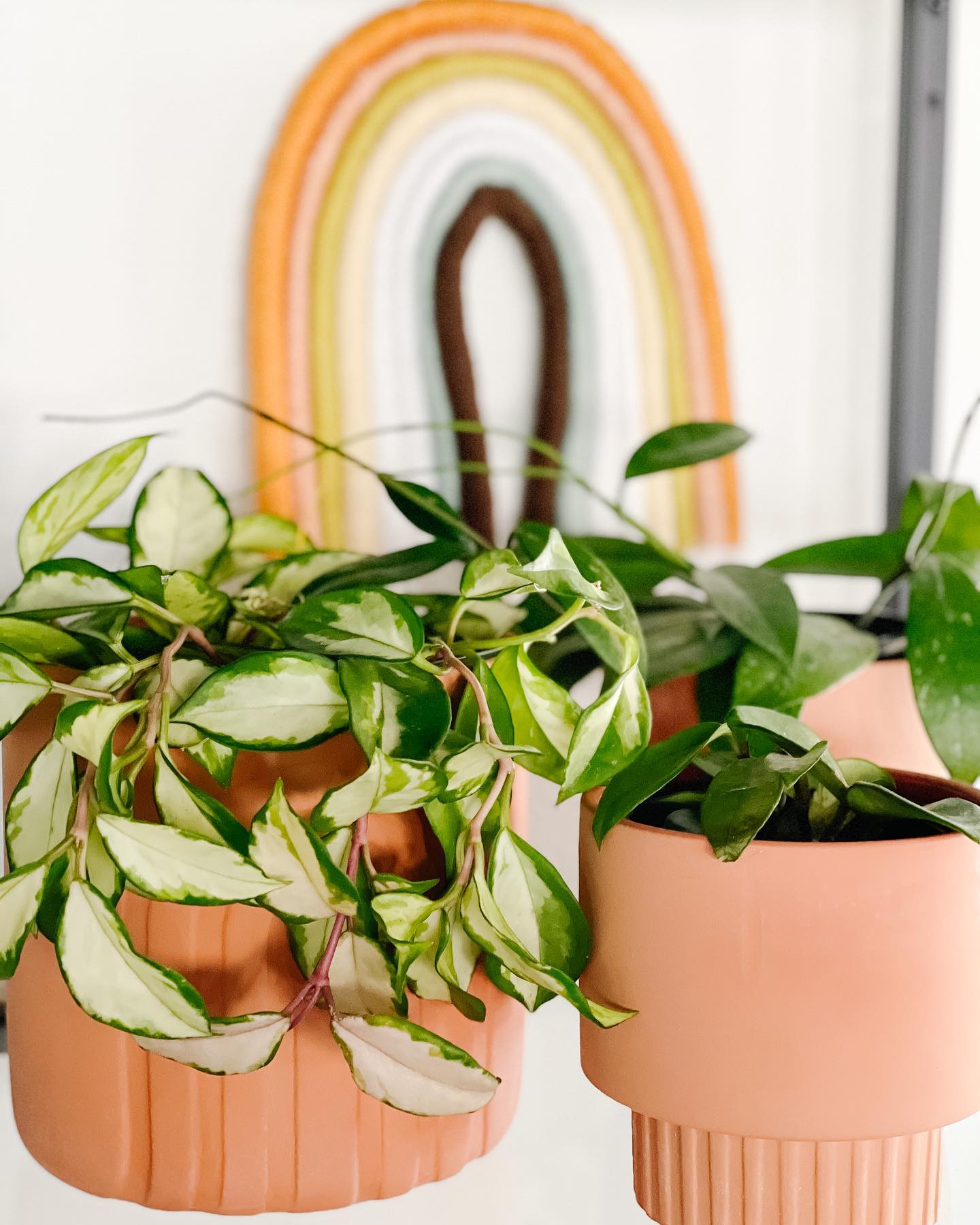 22 Terracotta Home Decor Ideas to Transform Your Living Space with ...