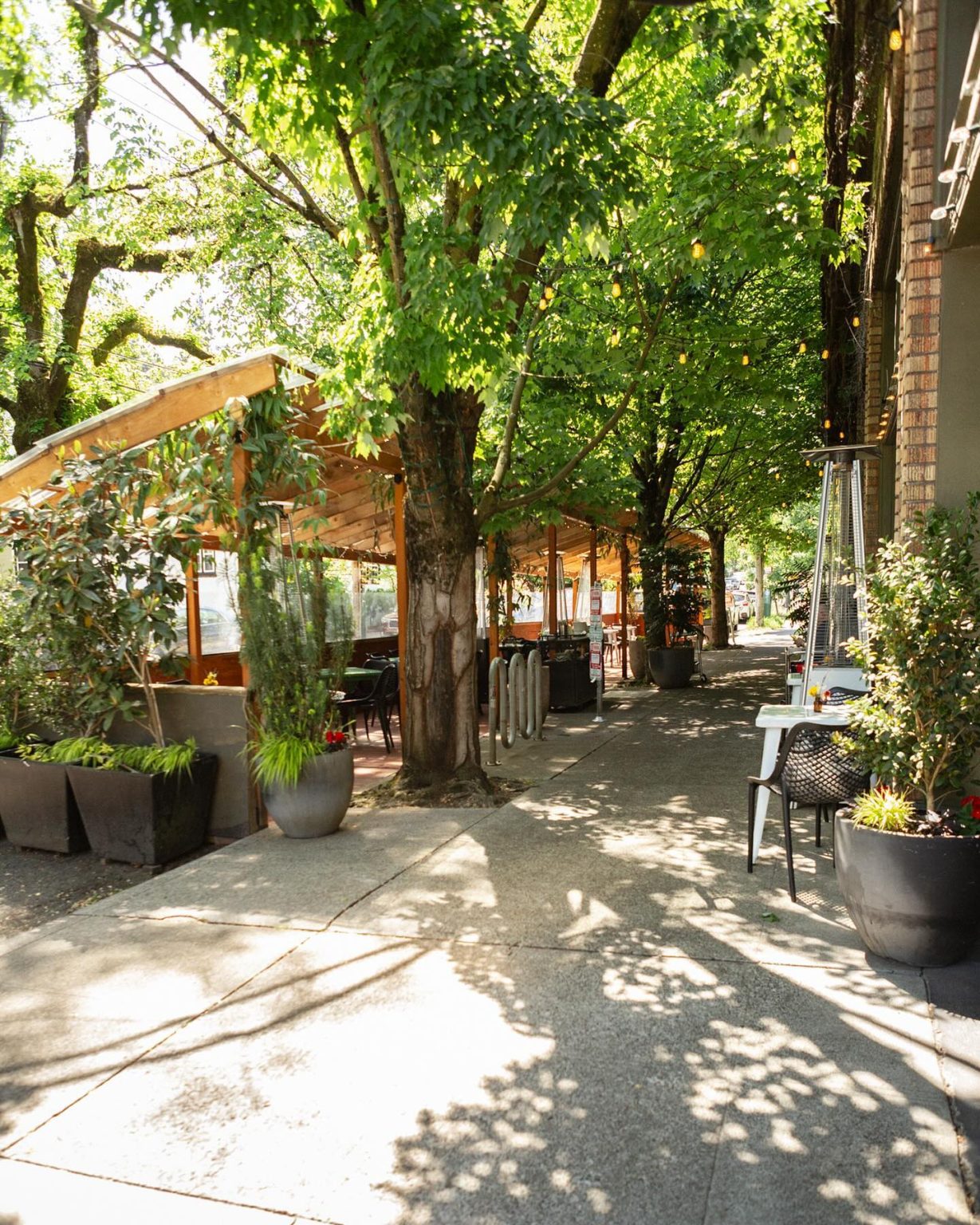 25 Garden Canopy Ideas: Transform Your Outdoor Space with Stylish and ...