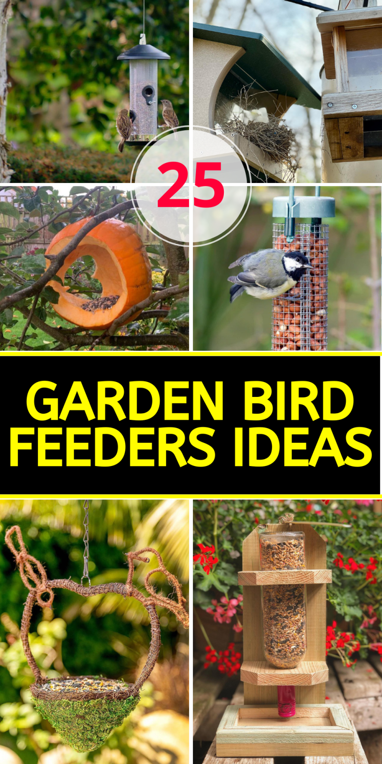 25 Garden Bird Feeders Ideas to Beautify Your Outdoor Space and Attract ...