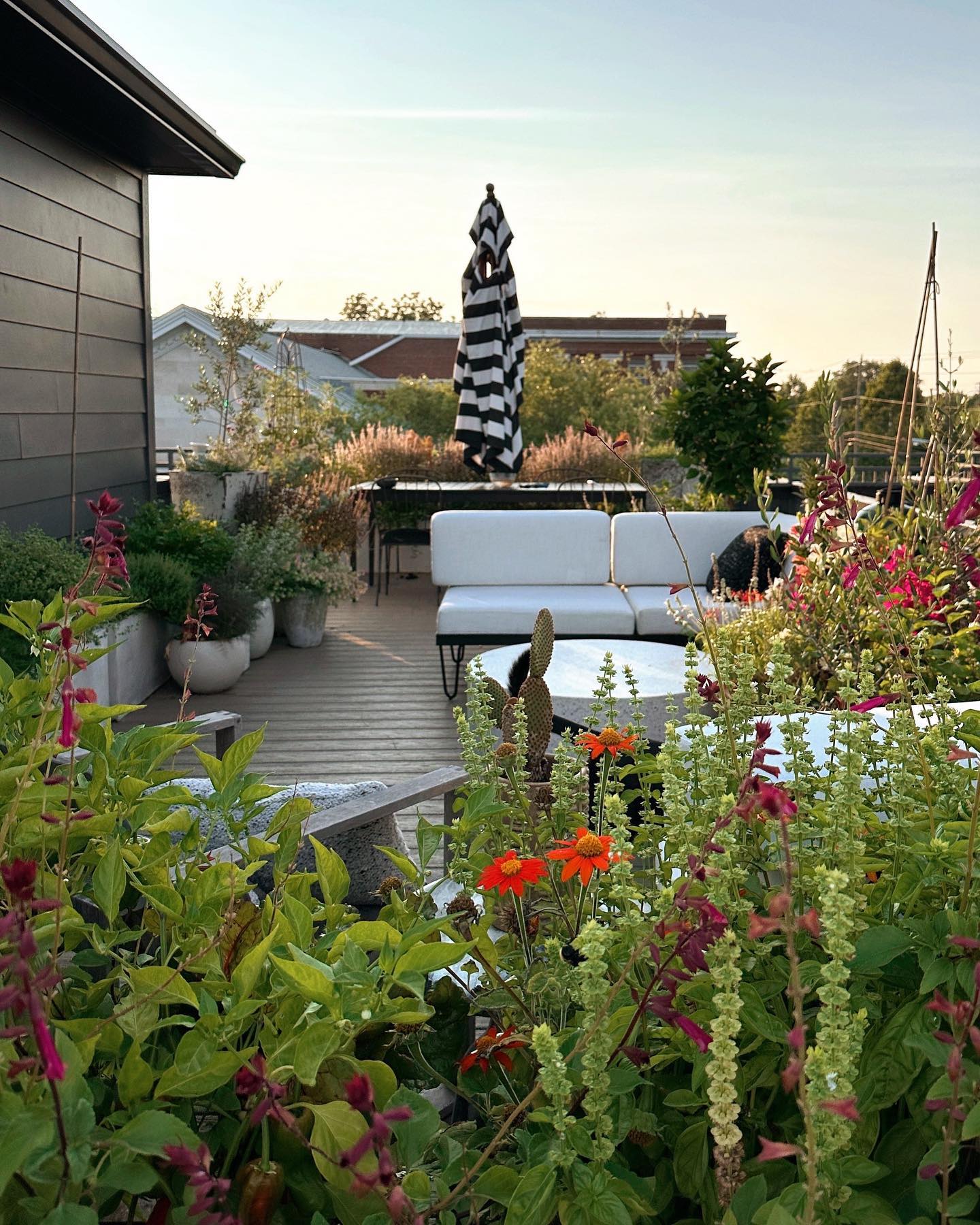 23 Rooftop Garden Ideas to Transform Your Urban Space – Small, Modern ...
