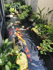 28 Koi Pond Ideas to Transform Your Backyard into a Serene Oasis ...