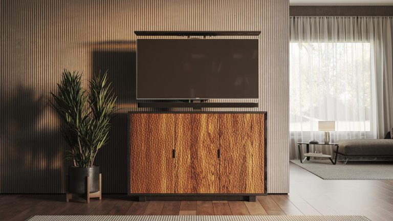 29 Hidden TV Ideas: Transform Your Living Space with These Stylish ...