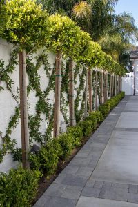 35 Fence Decorating Ideas to Transform Your Backyard into a Stunning ...