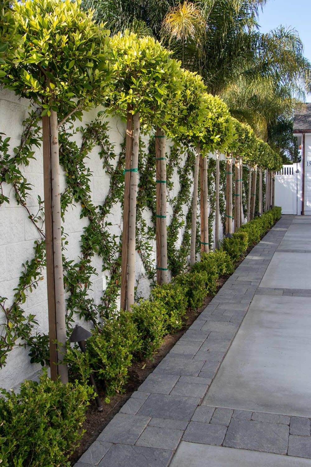 35 Fence Decorating Ideas to Transform Your Backyard into a Stunning ...