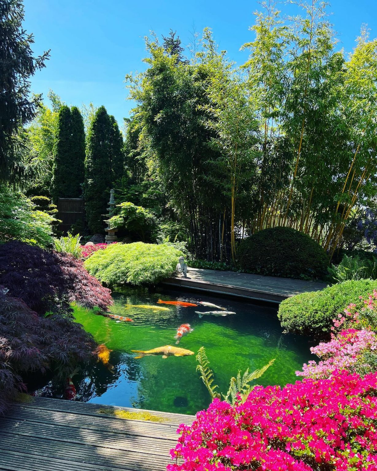 28 Koi Pond Ideas to Transform Your Backyard into a Serene Oasis ...