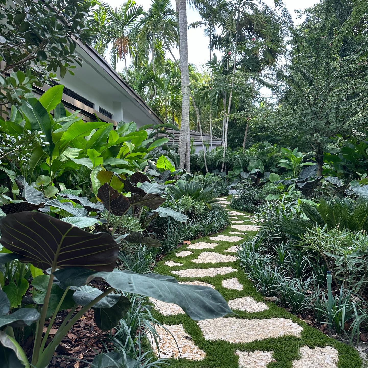 28 Tropical Landscape Ideas for Stunning Front Yards, Backyards, and ...