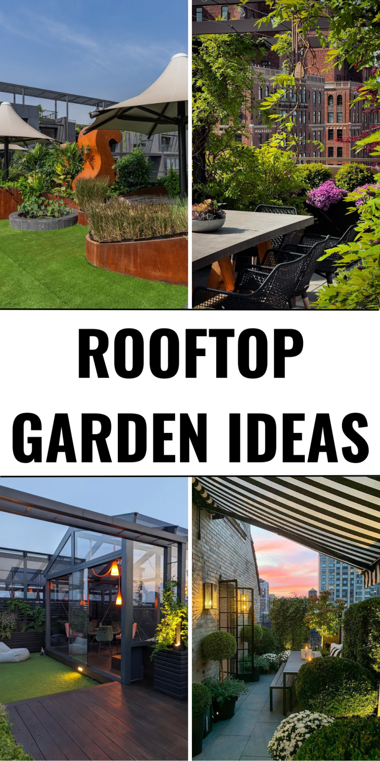 23 Rooftop Garden Ideas to Transform Your Urban Space – Small, Modern ...