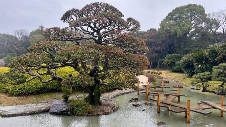 24 Japanese Garden Ideas to Transform Your Backyard into a Serene Oasis - placeideal.com