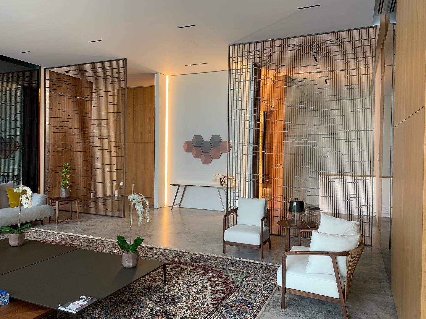 27 Divider Screen Ideas for Open Space Living - Stylish and Functional ...