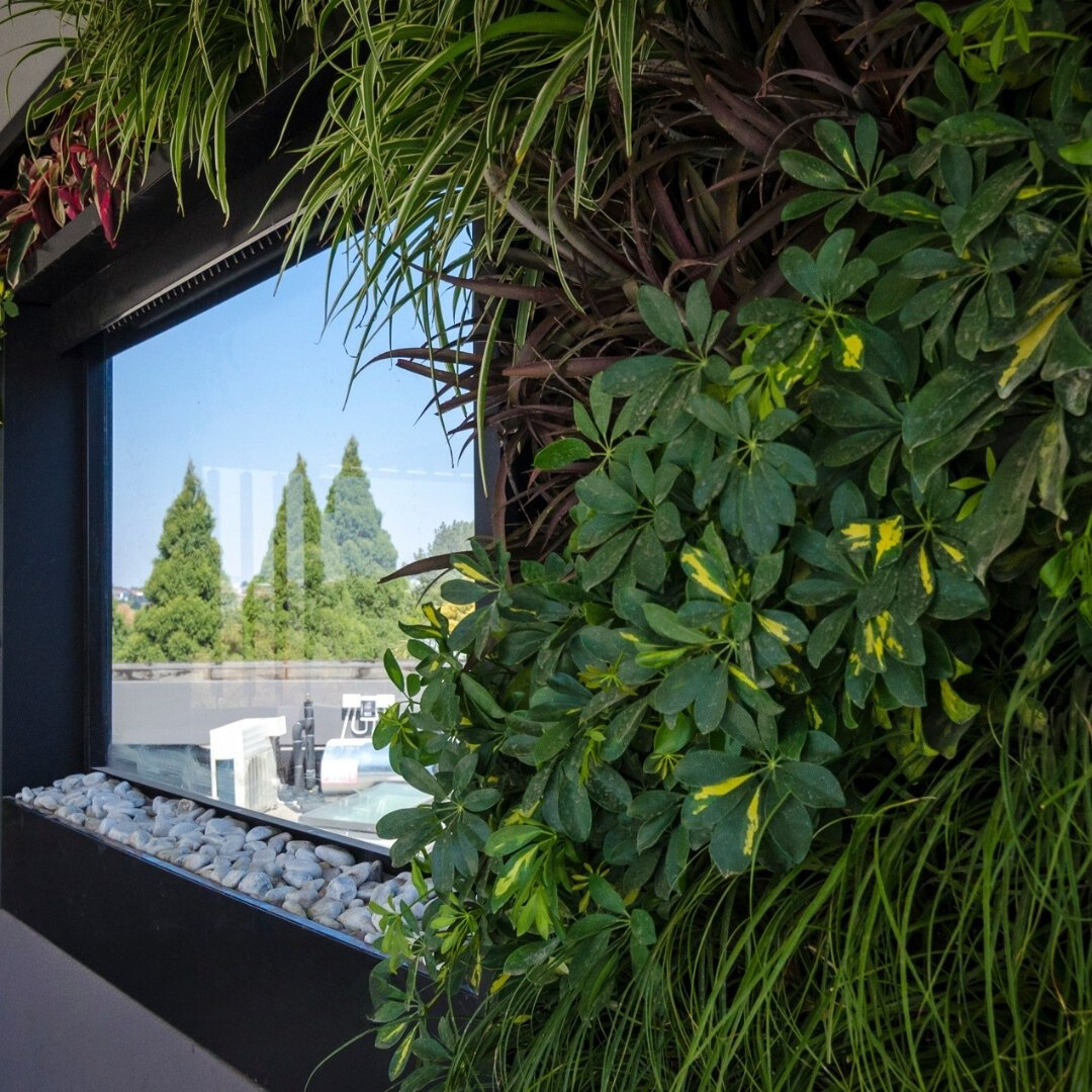30 Stunning Green Living Walls: Transform Your Space with Nature ...