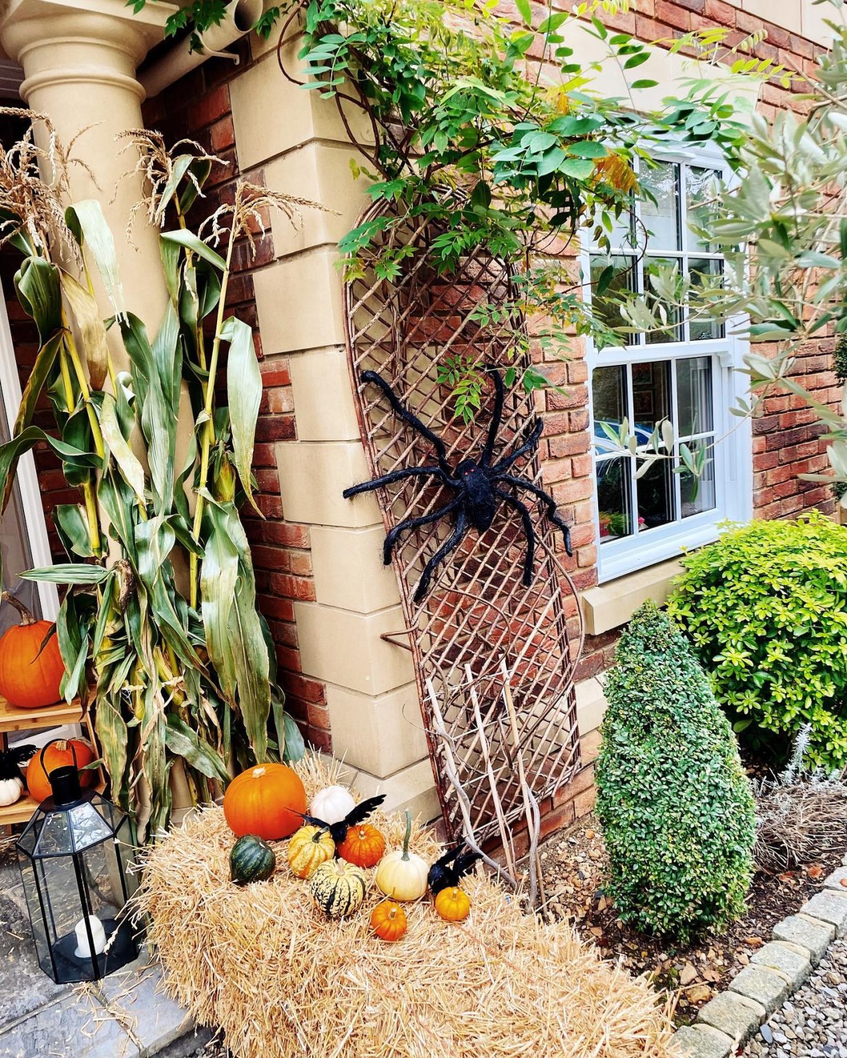 32 Halloween Spider Decorations: Creepy, Creative and Fun Ideas for ...