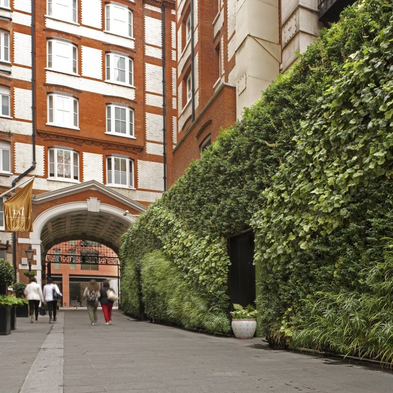 30 Stunning Green Living Walls: Transform Your Space with Nature ...