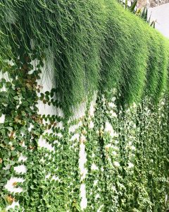 30 Stunning Green Living Walls: Transform Your Space with Nature ...
