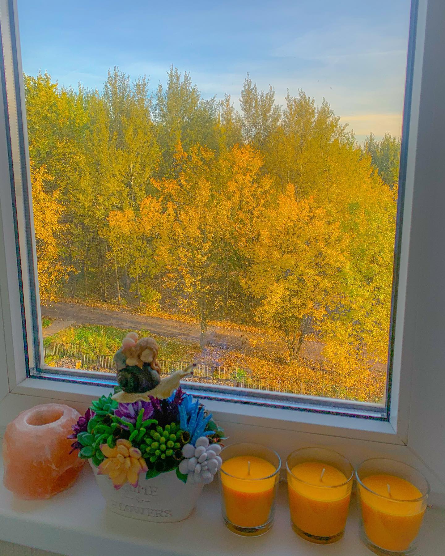 30 Fall Window Decorations to Transform Your Home This Autumn ...