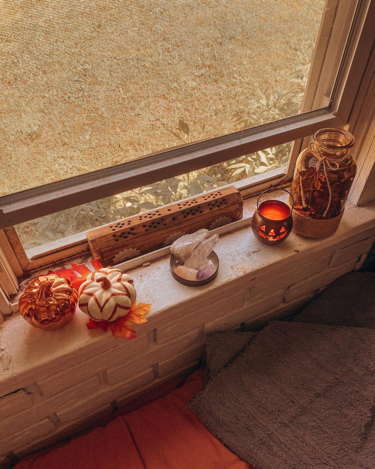 30 Fall Window Decorations to Transform Your Home This Autumn ...