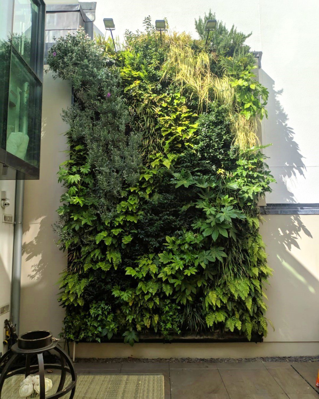 30 Stunning Green Living Walls: Transform Your Space with Nature ...