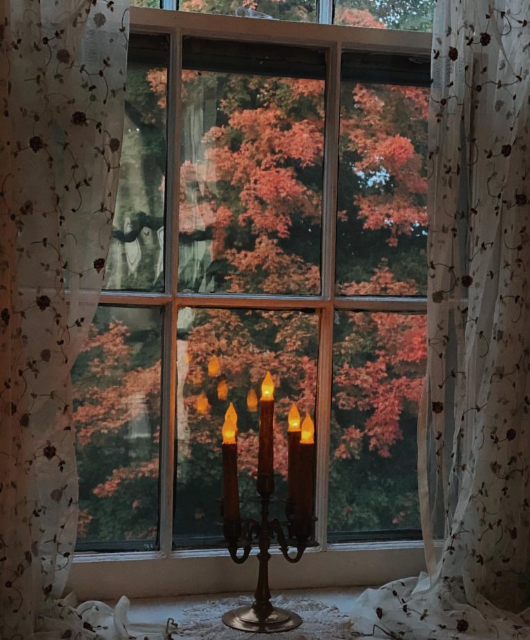 30 Fall Window Decorations to Transform Your Home This Autumn ...
