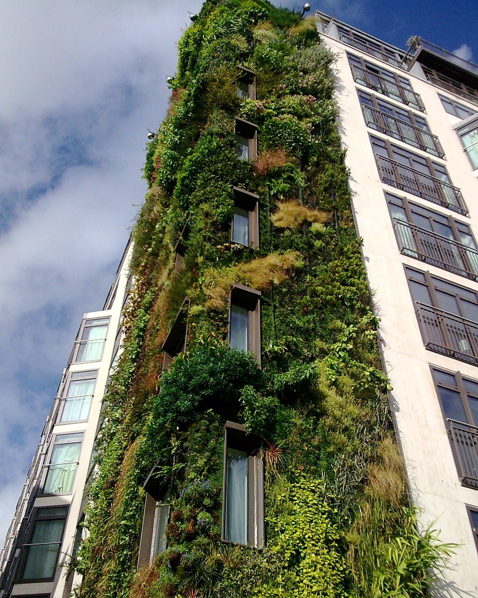 30 Stunning Green Living Walls: Transform Your Space with Nature ...