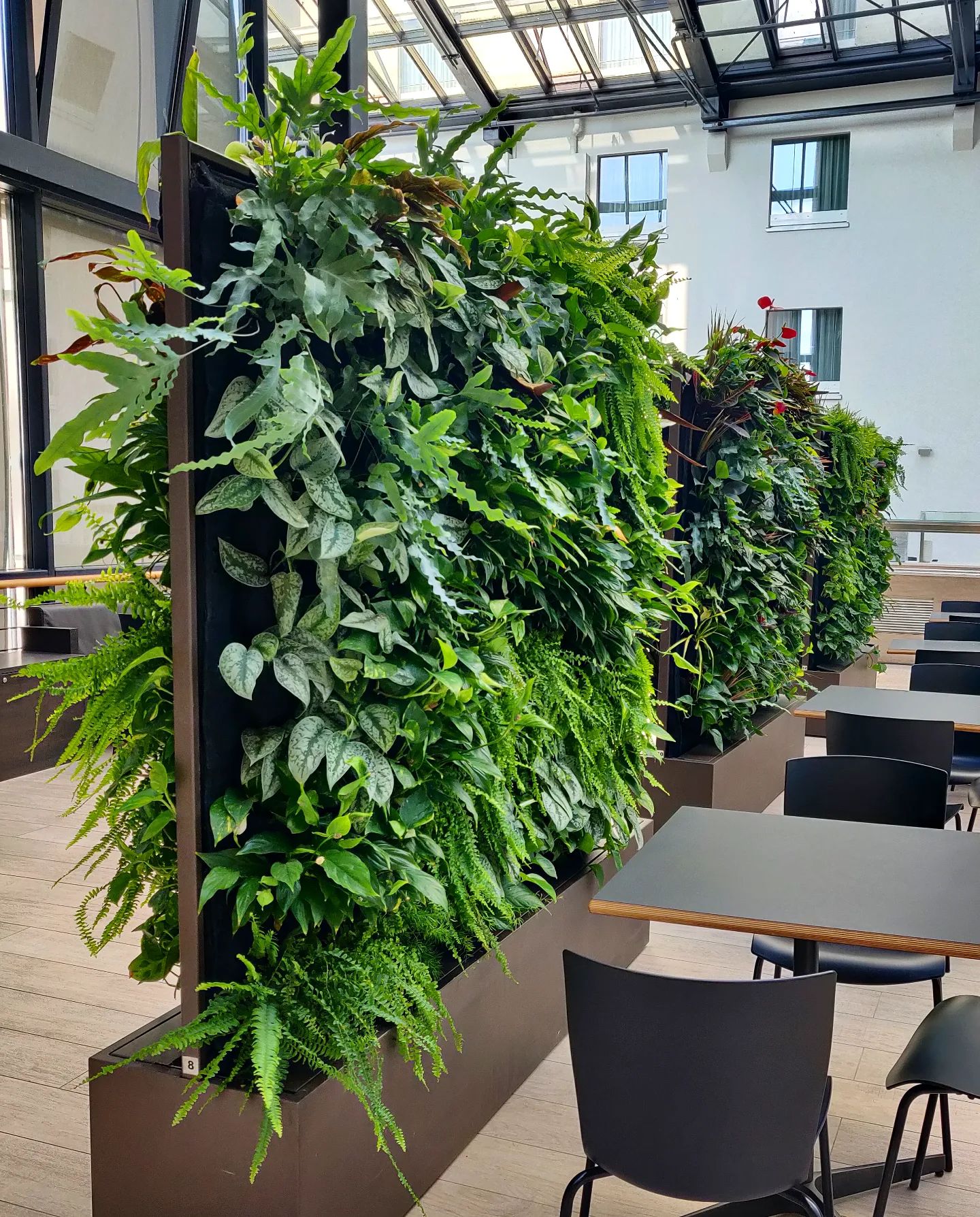 30 Stunning Green Living Walls: Transform Your Space with Nature ...