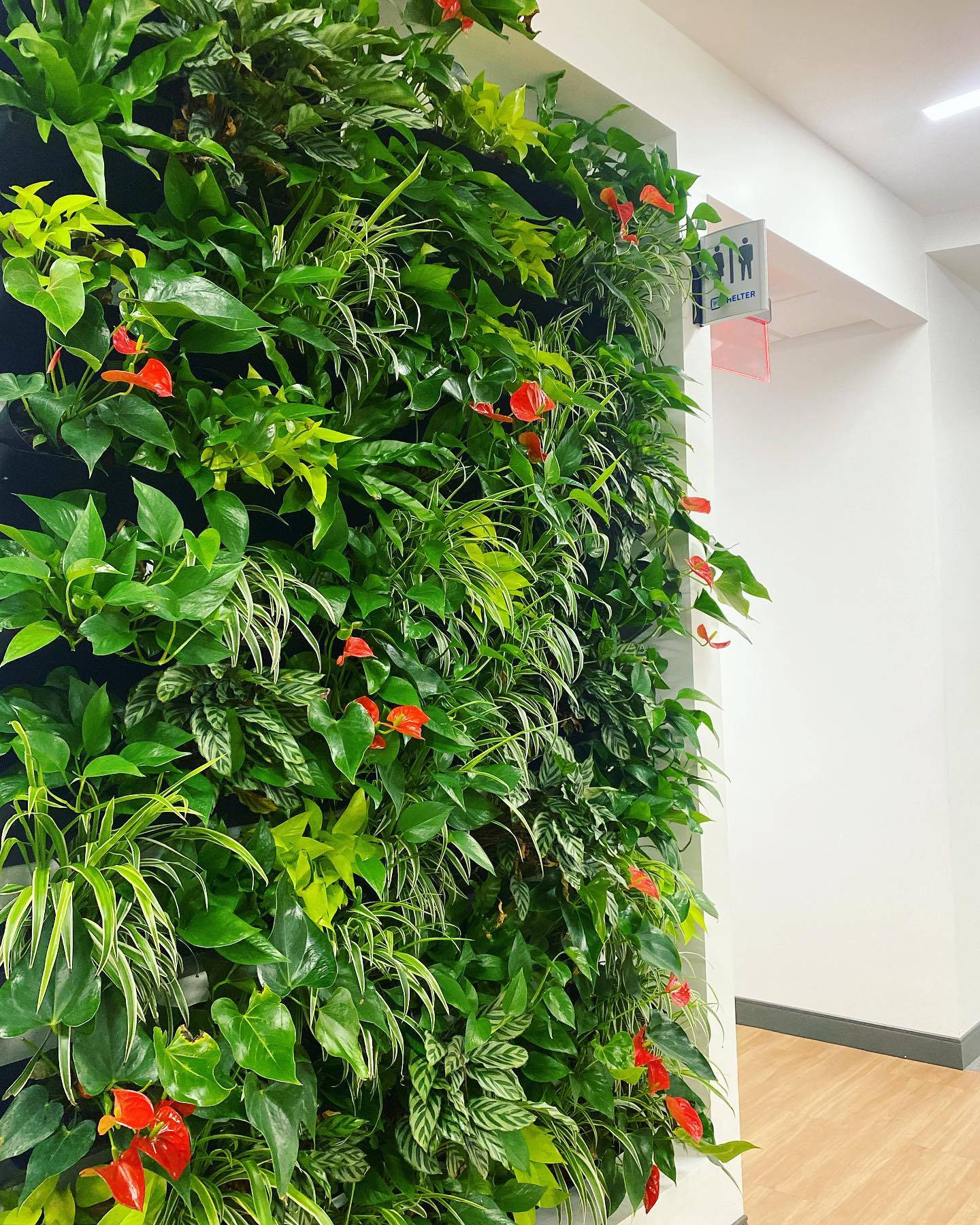 30 Stunning Green Living Walls: Transform Your Space with Nature ...