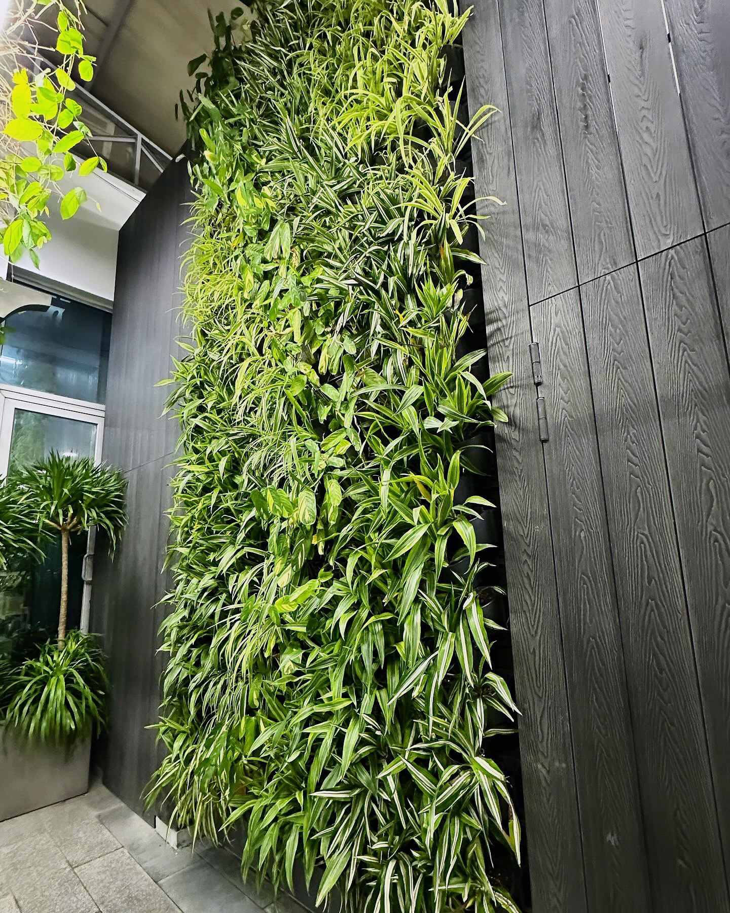 30 Stunning Green Living Walls: Transform Your Space with Nature ...