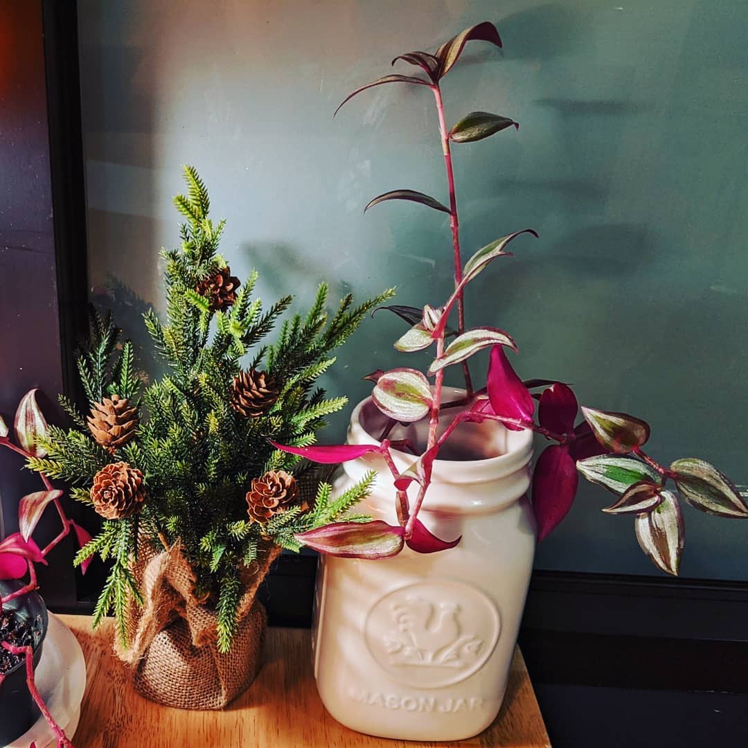 25 Christmas Office Decorations to Transform Your Workspace into a ...