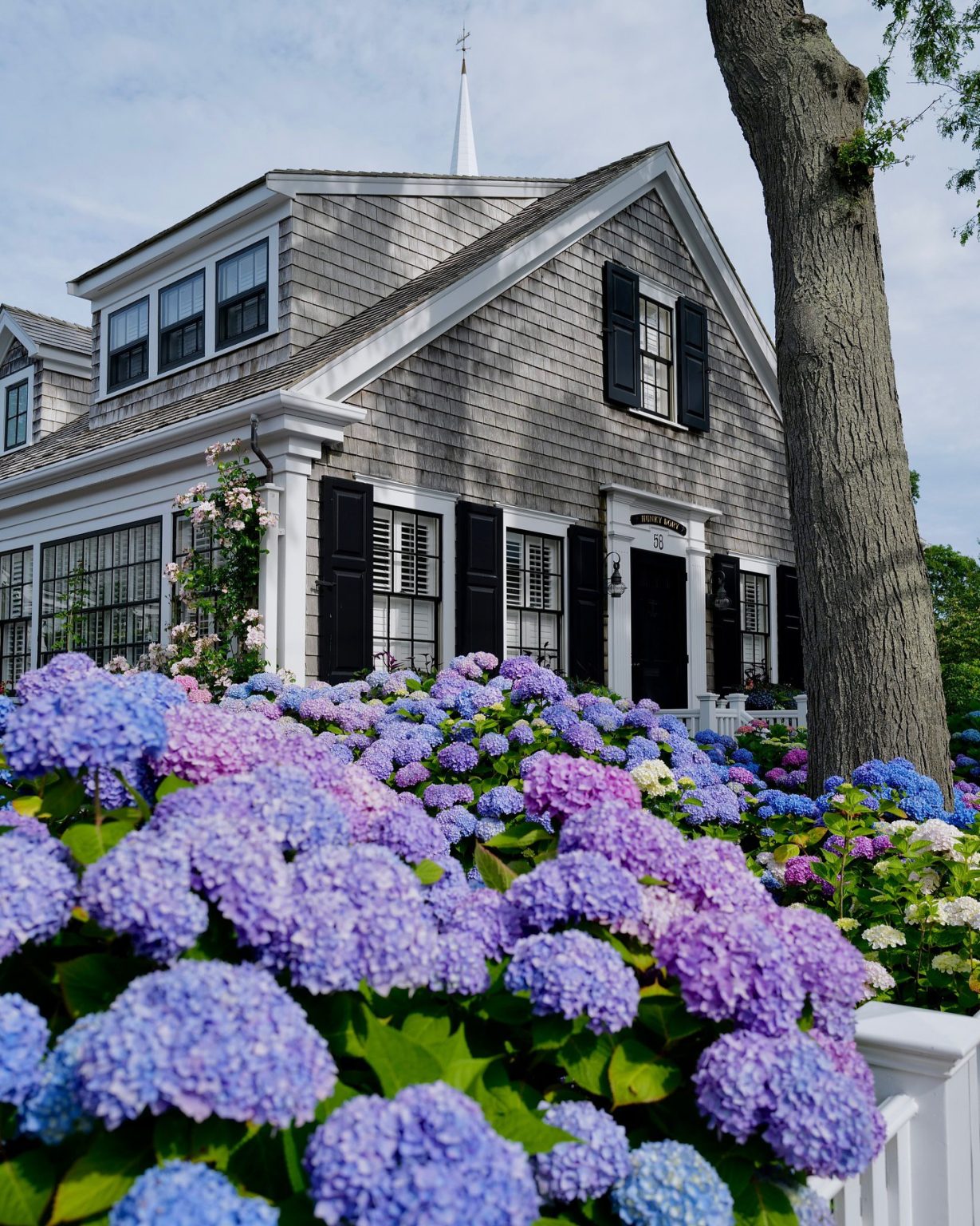 21 Stunning Cape Cod House Exterior Ideas to Enhance Curb Appeal and ...