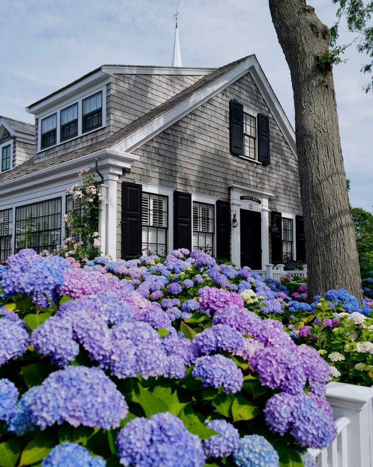 21 Stunning Cape Cod House Exterior Ideas to Enhance Curb Appeal and ...