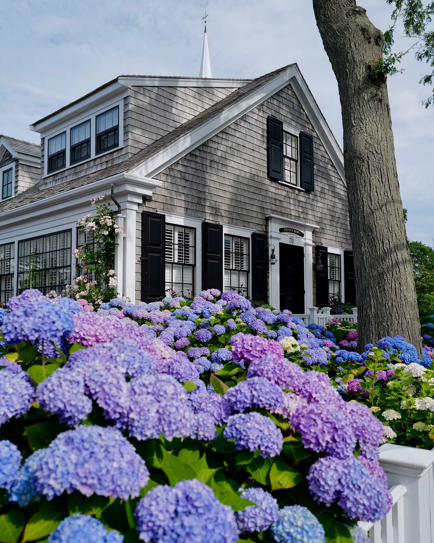 21 Stunning Cape Cod House Exterior Ideas to Enhance Curb Appeal and ...