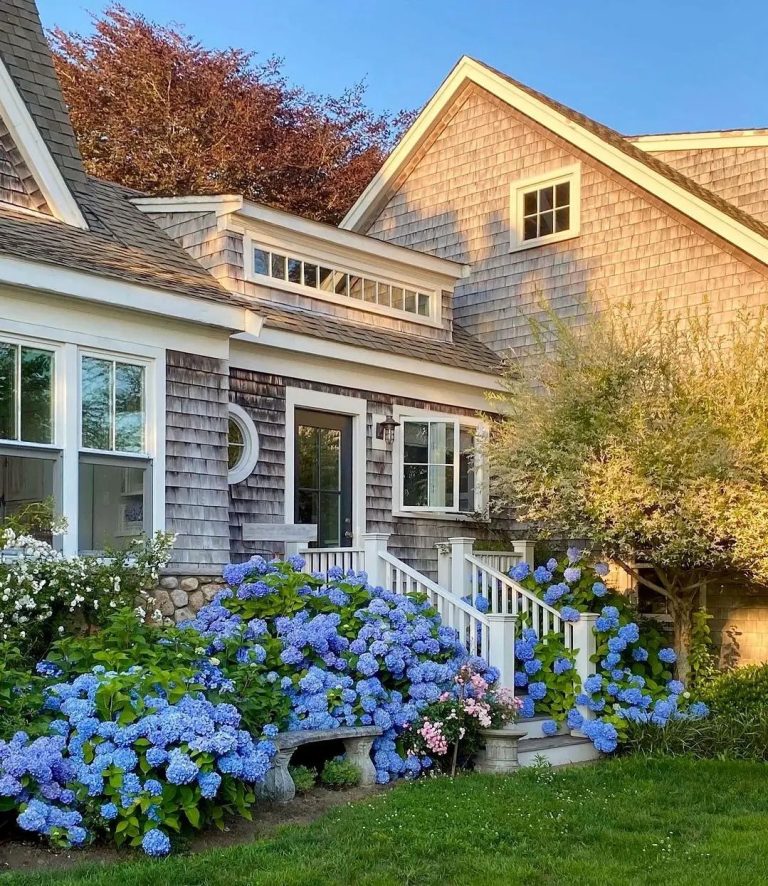 21 Stunning Cape Cod House Exterior Ideas to Enhance Curb Appeal and ...