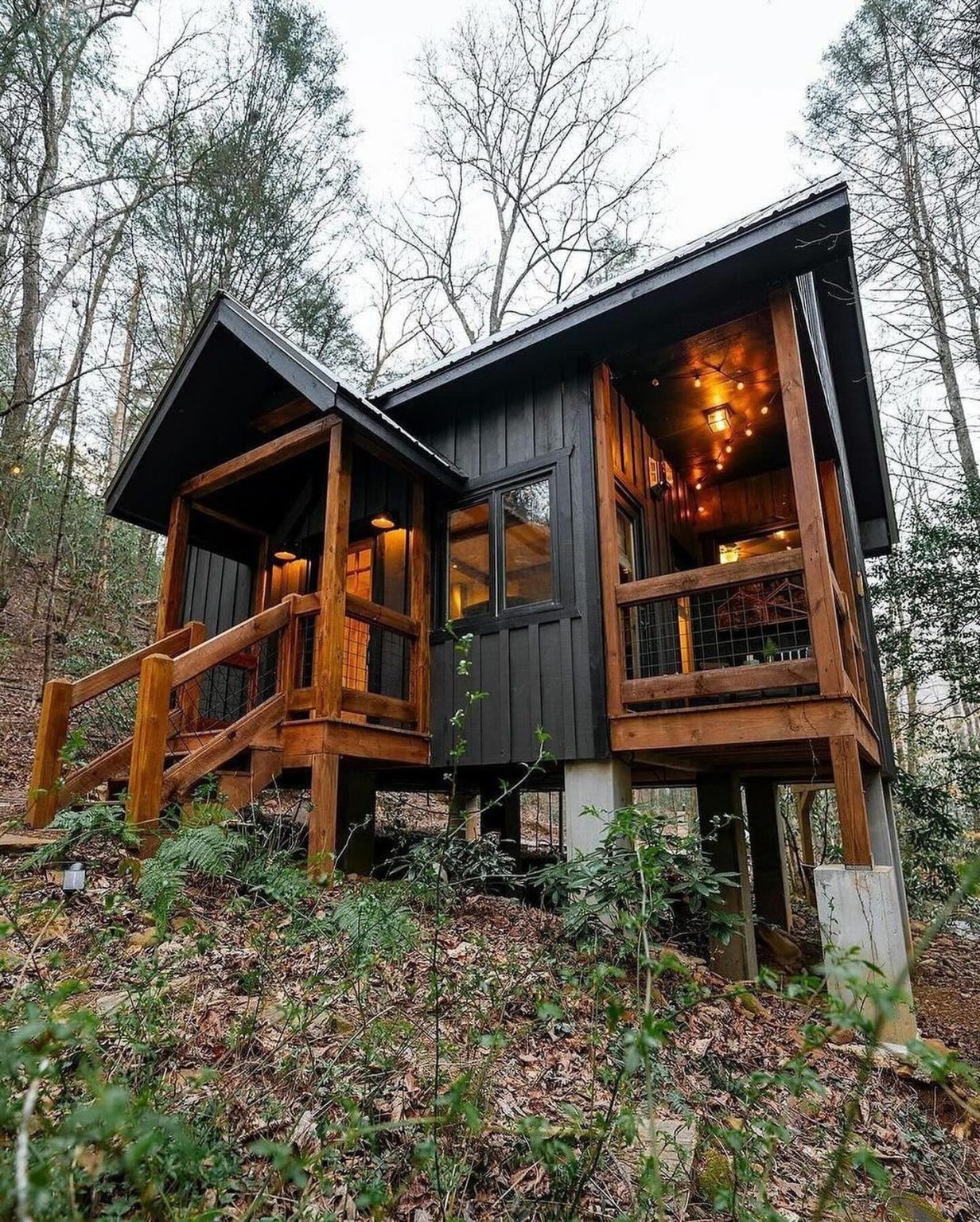 30 Black and Cedar House Exterior Ideas: Modern Farmhouses, Rustic ...
