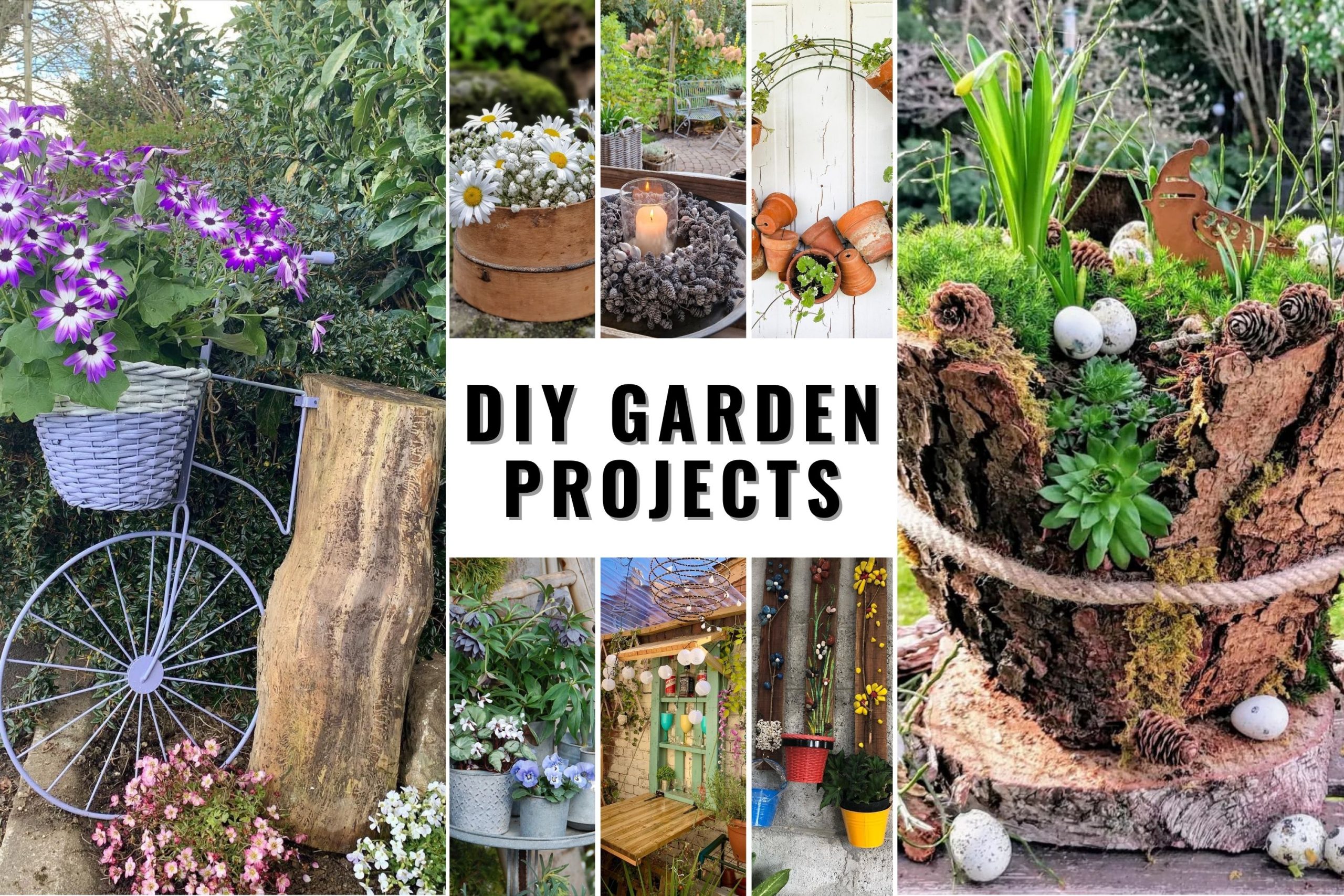 30 DIY Garden Projects: Transform Your Backyard with Creative and ...