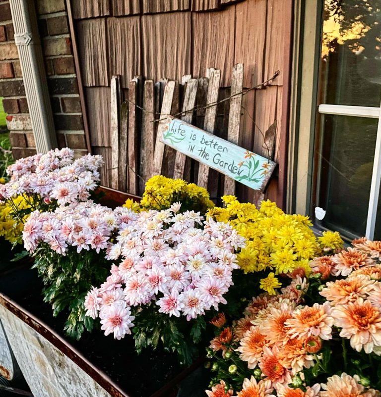 30 Rustic Garden Decor Ideas to Transform Your Outdoor Space into a ...