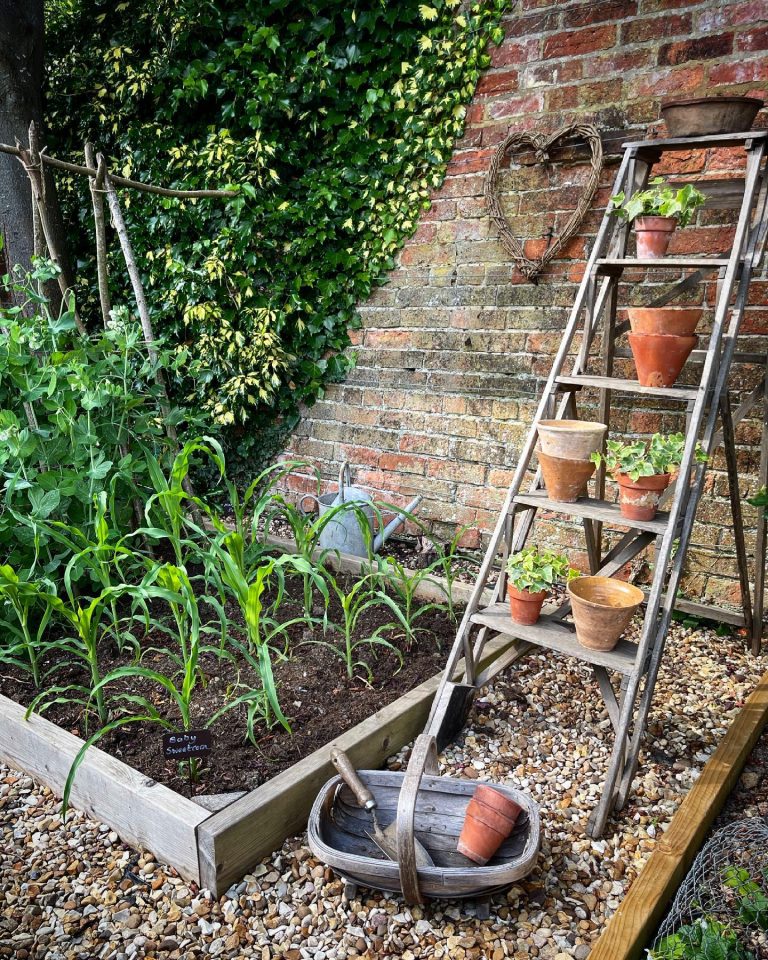 30 Rustic Garden Decor Ideas to Transform Your Outdoor Space into a ...