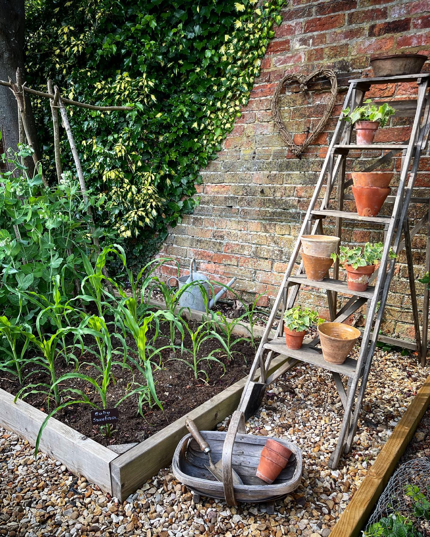 30 Rustic Garden Decor Ideas to Transform Your Outdoor Space into a ...