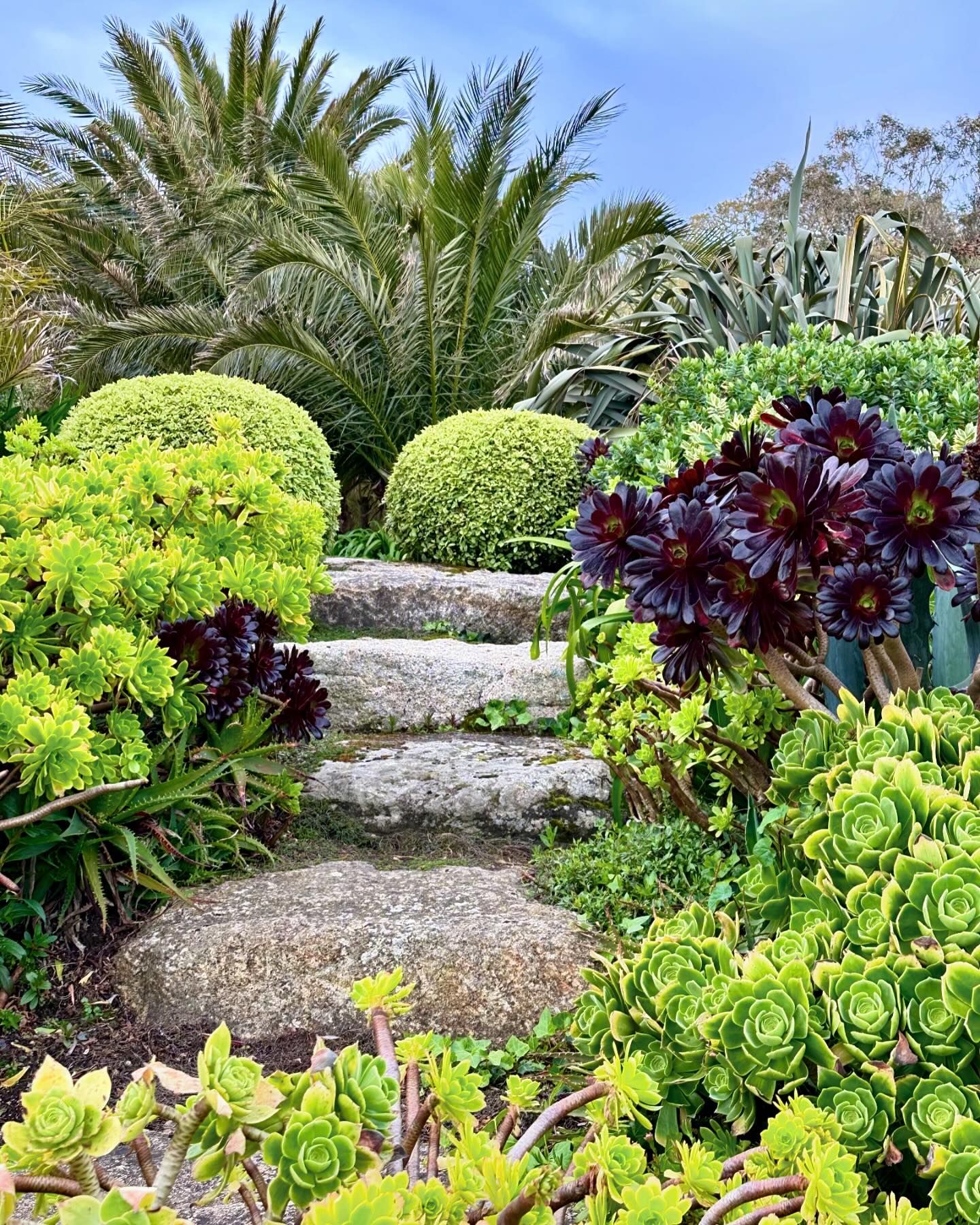 25 Landscaping with Large Rocks Ideas: Transform Your Yard with ...