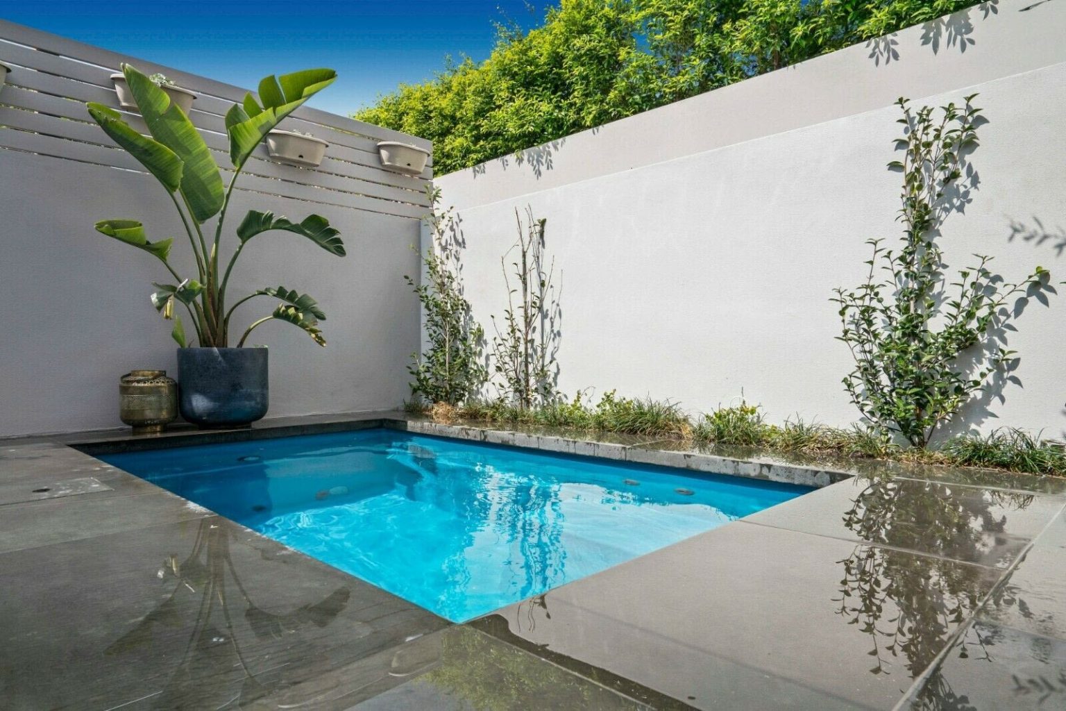 34 Small Backyard Pools: Stunning Ideas to Transform Your Outdoor Space ...