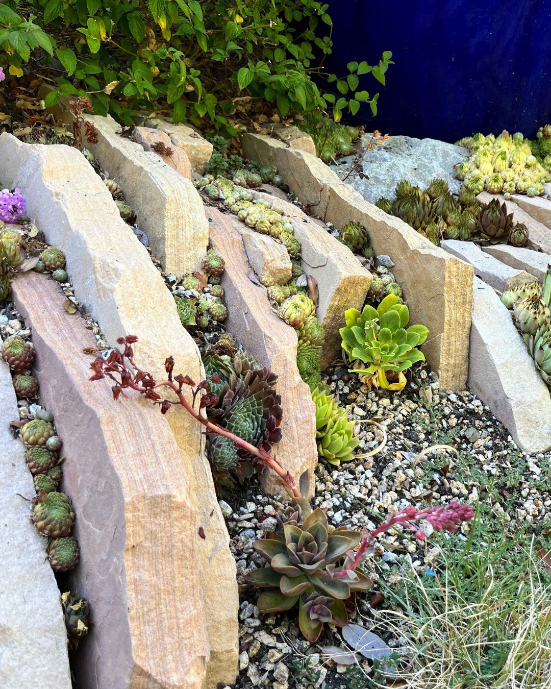 25 Landscaping with Large Rocks Ideas: Transform Your Yard with ...