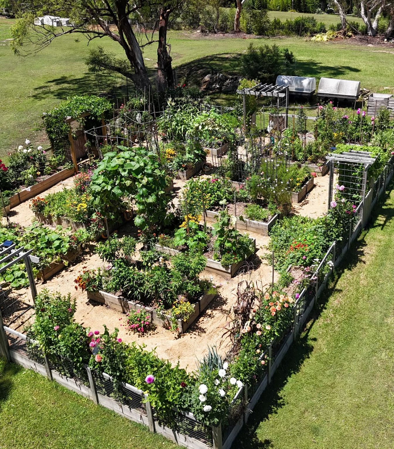 25 Veggie Garden Layout Ideas to Transform Your Backyard: Raised Beds ...