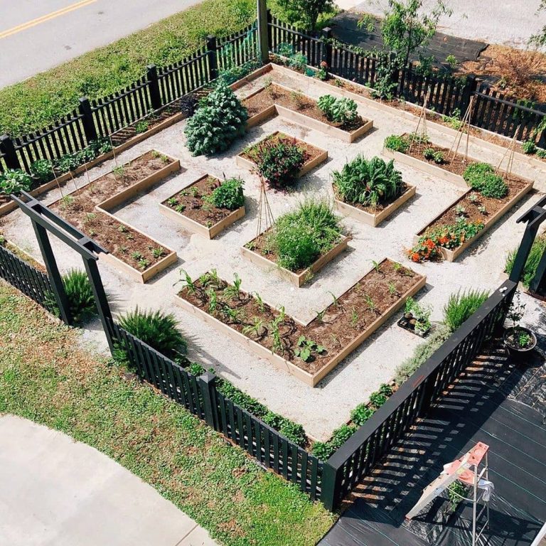 25 Veggie Garden Layout Ideas to Transform Your Backyard: Raised Beds ...
