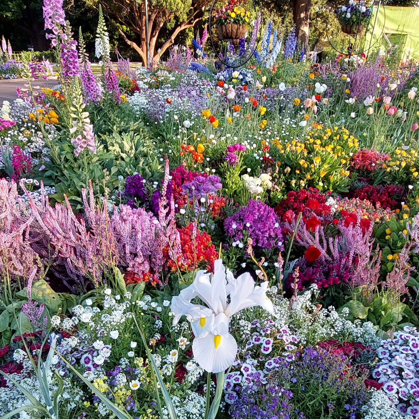 24 Flower Garden Ideas to Transform Your Outdoor Space into a Blooming ...