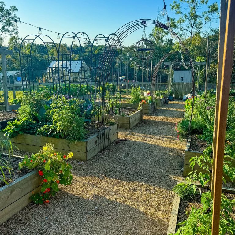 29 Vegetable Garden Design Ideas: Create a Stunning and Productive ...